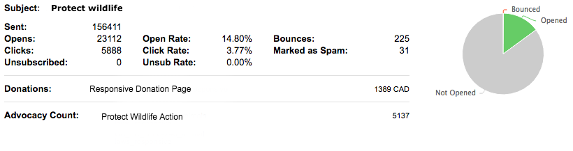 Email Campaign Reporting