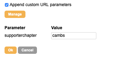 Custom URL Parameters